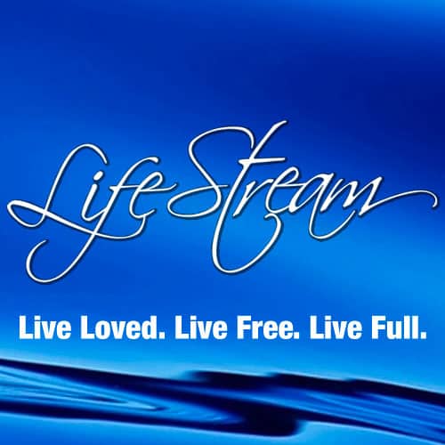 Payment to Lifestream | Lifestream | Wayne Jacobsen