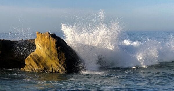 Lifestream | Lifestream | Wayne Jacobsen